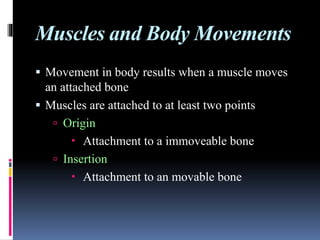 Body movements | PPTX
