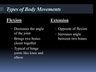Body movements | PPTX