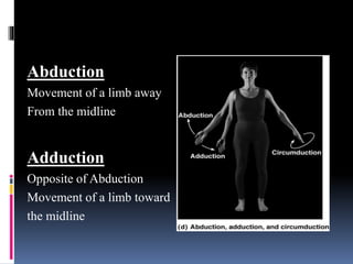 Body movements | PPTX