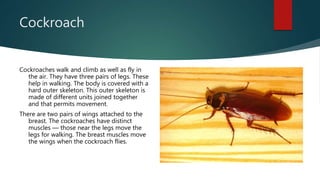 Body movements | PPTX