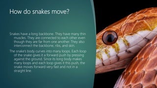Body movements | PPTX