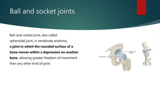Body movements | PPTX