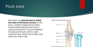 Body movements | PPTX