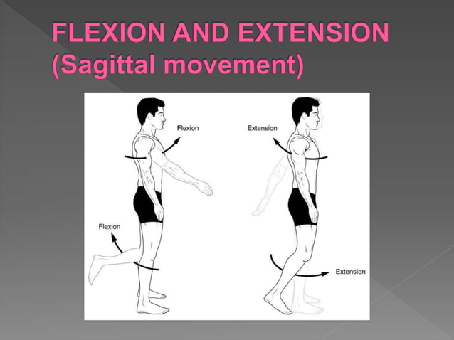 BODY MOVEMENTS-HUMAN ANA.pptx