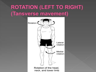 BODY MOVEMENTS-HUMAN ANA.pptx