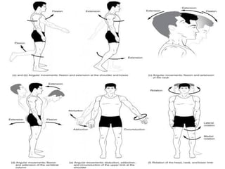 Body movements- body mechanics along with description | PPTX