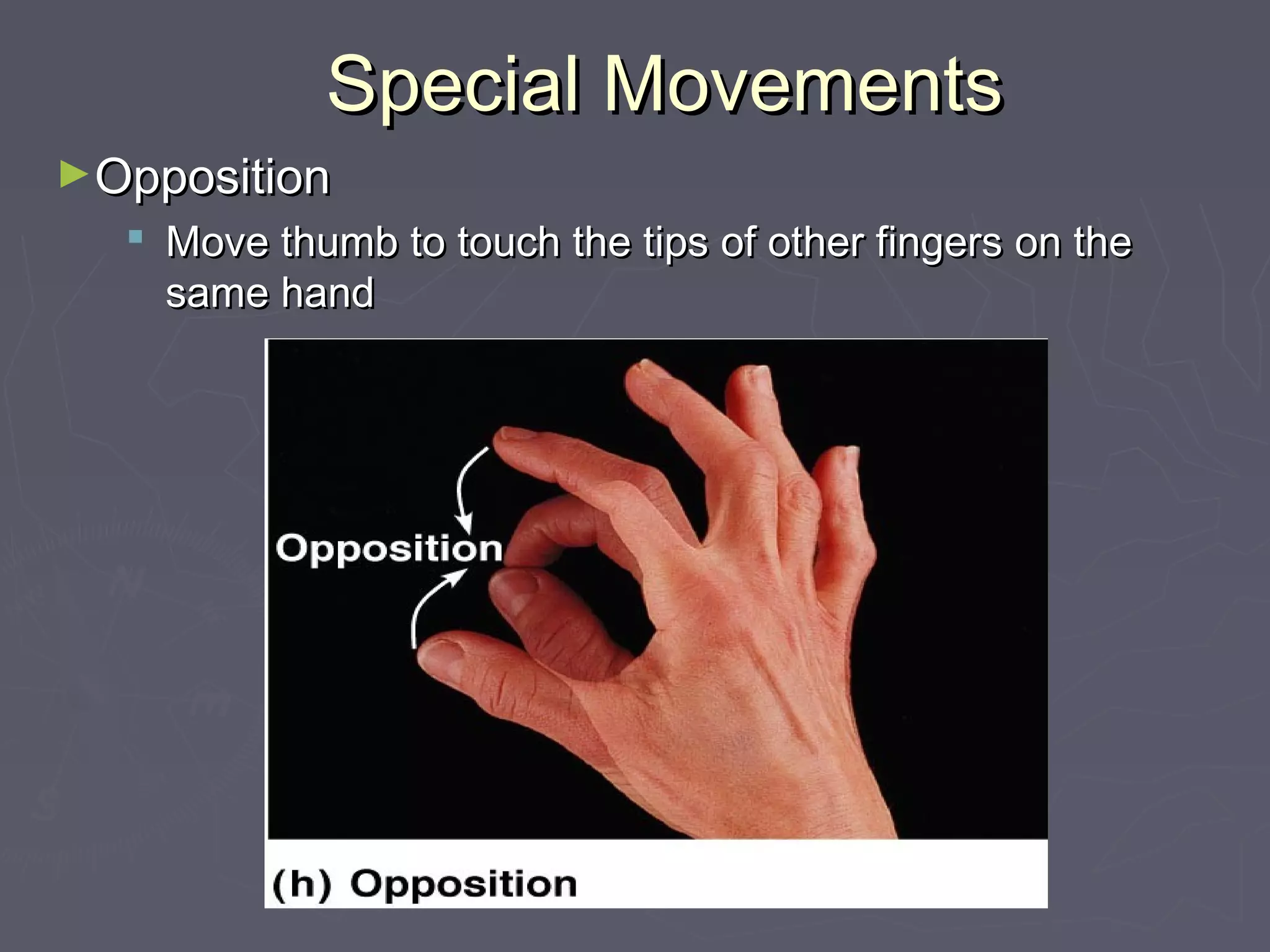 Body movements ppt | PPT