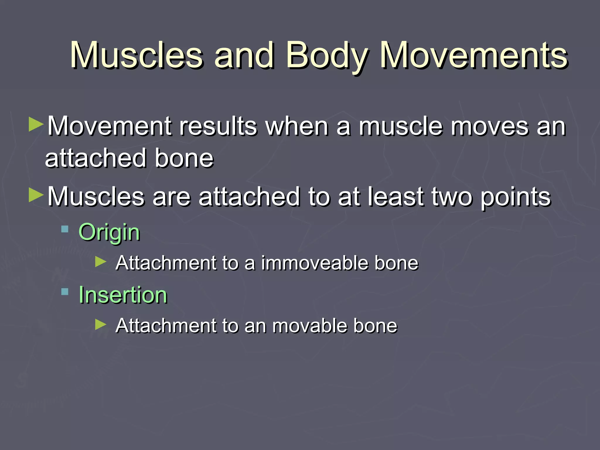 Body movements ppt | PPT