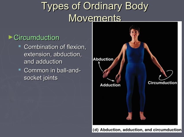 Body movements ppt | PPT