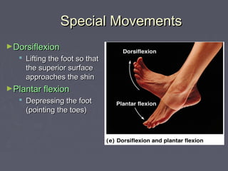 Body movements ppt | PPT
