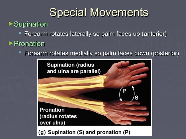 Body movements ppt | PPT
