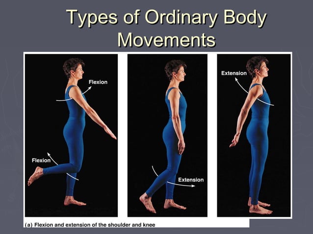 Body movements ppt | PPT