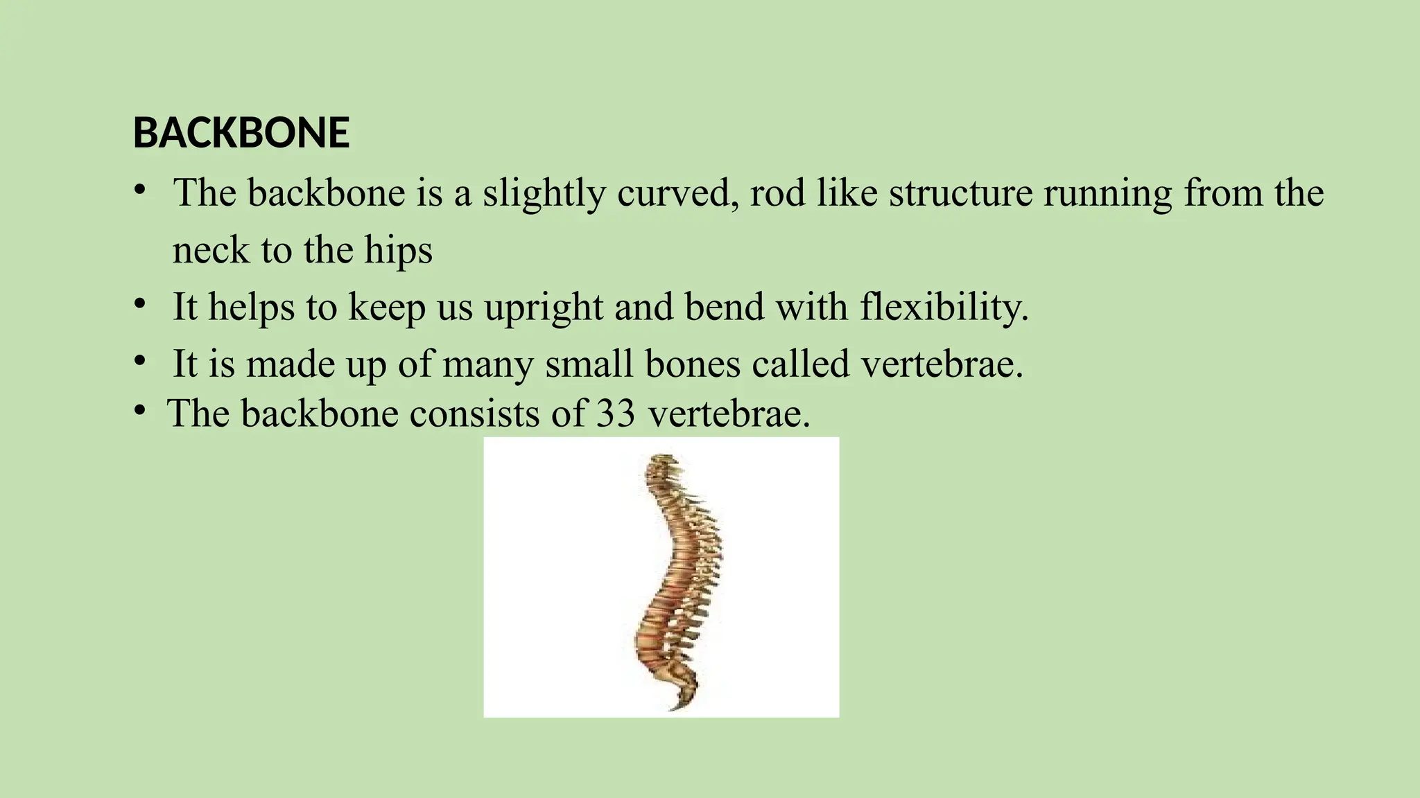 Body Movements PPT science class 6 cbse | PPTX