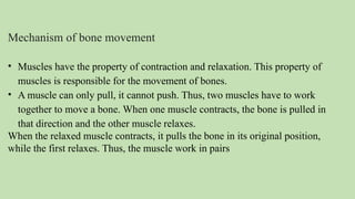 Body Movements PPT science class 6 cbse | PPTX