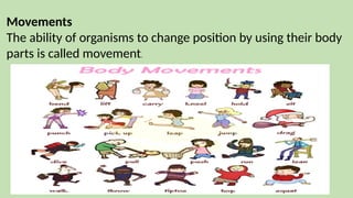 Body Movements PPT science class 6 cbse | PPTX