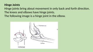Body Movements PPT science class 6 cbse | PPTX