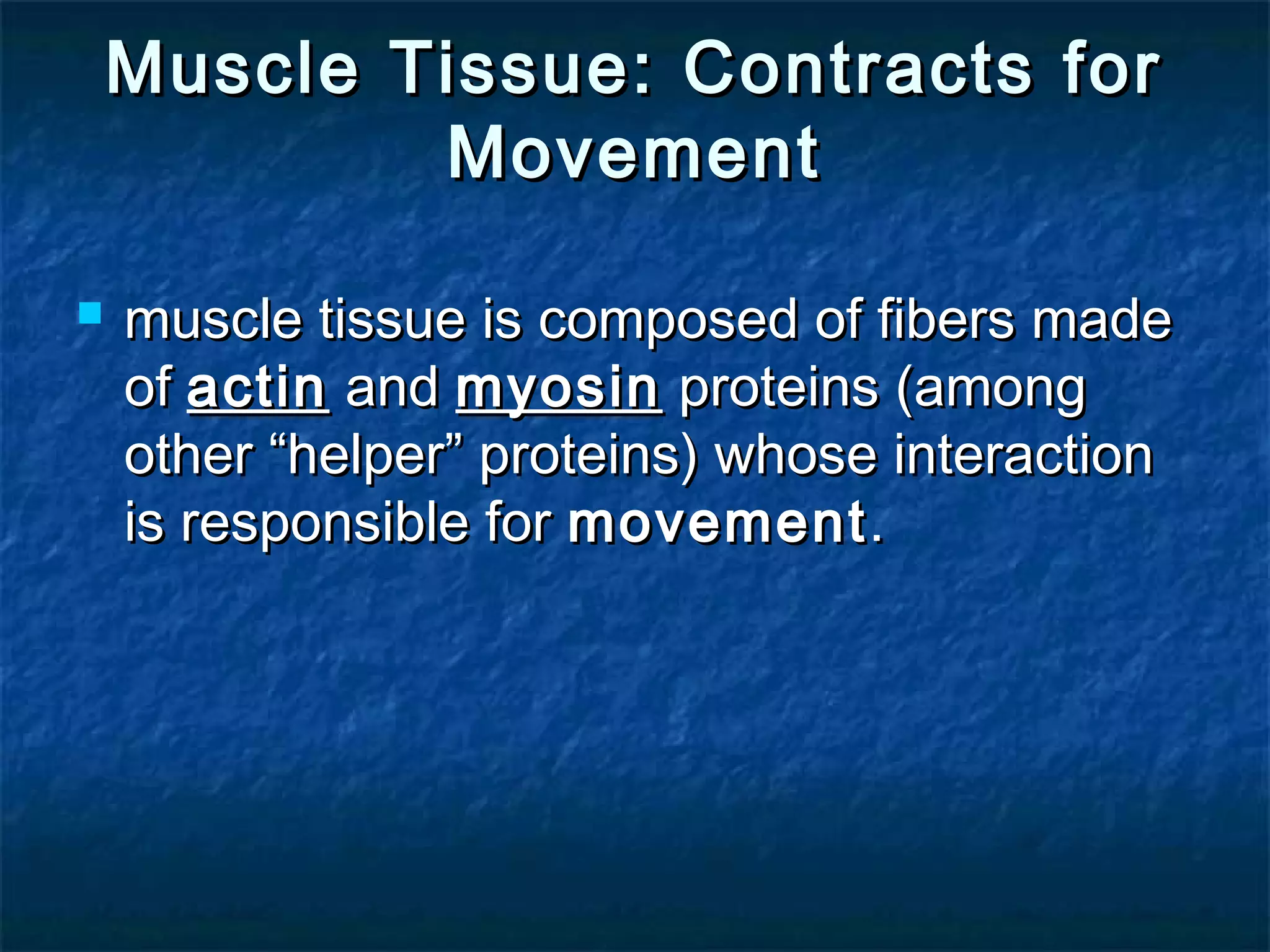 Body organization | PPT