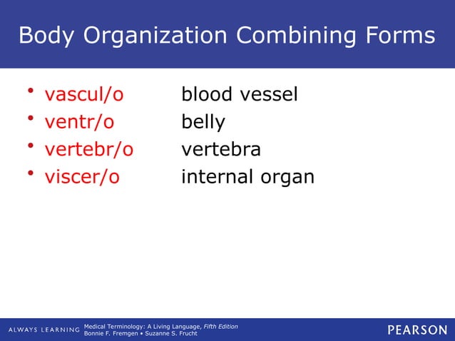 Body Organization talking about anatomically.ppt