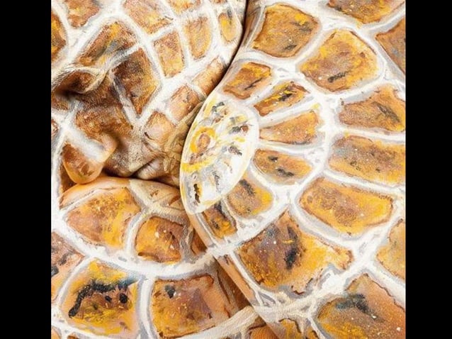 Body Painting By Trina Merry | PPSX