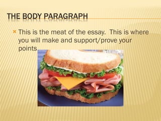 Body paragraphs | PPT