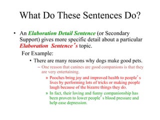 Body paragraphs | PPT