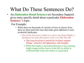 Body paragraphs | PPT