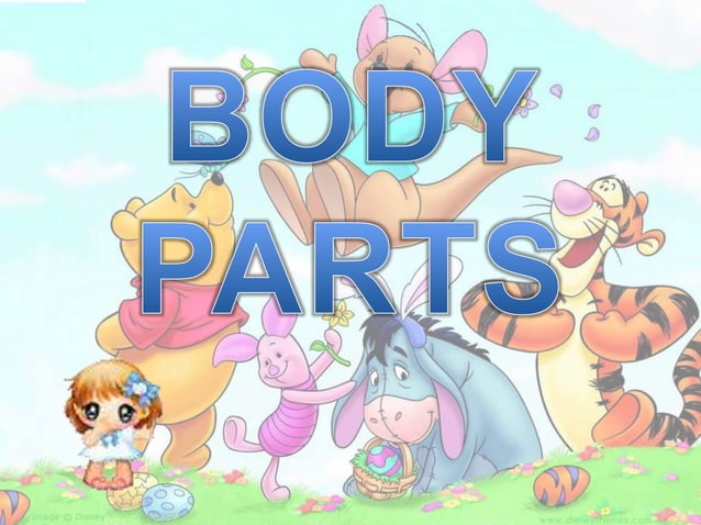 Body Parts | PPTX