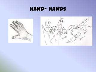 Body parts | PPT