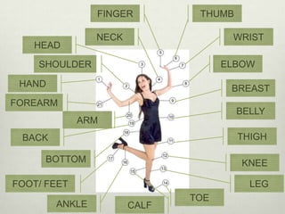 Parts of our body | PPTX