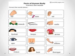Body parts | PPTX