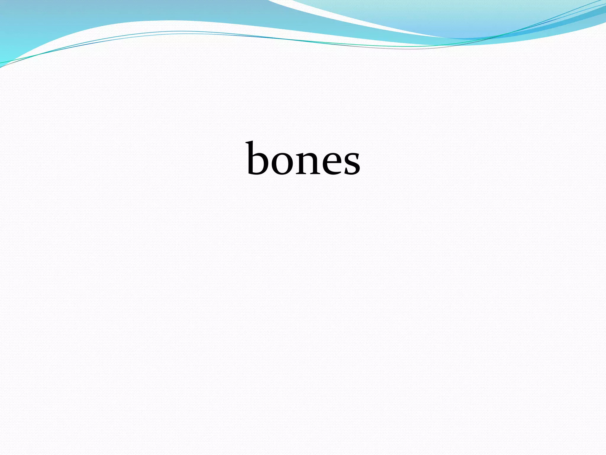 Body parts | PPT