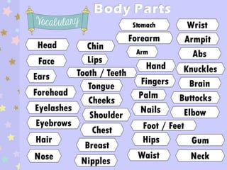 Body Parts vocabulary | PPT