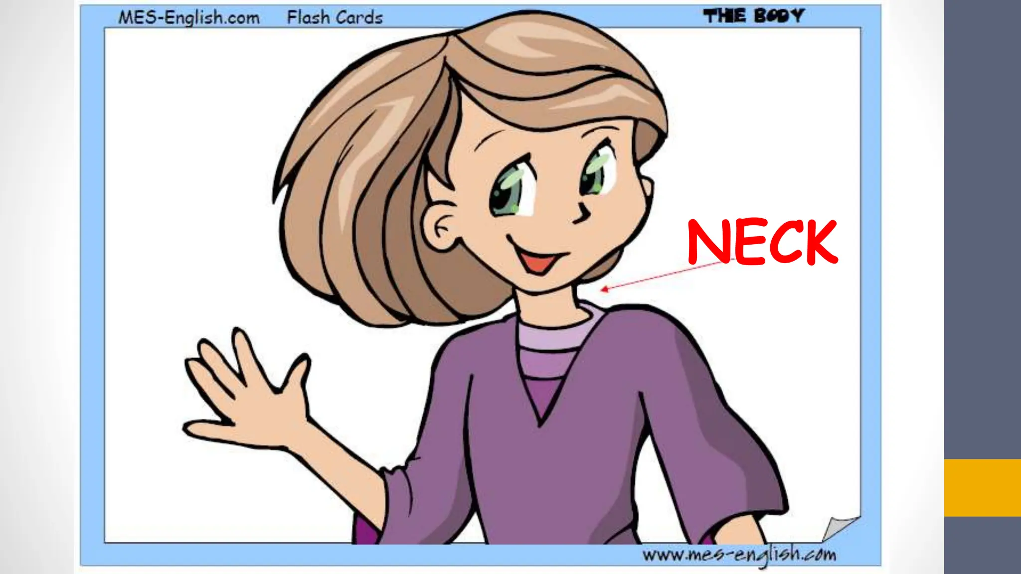 BODY PARTS of the human body powerpoint .pptx