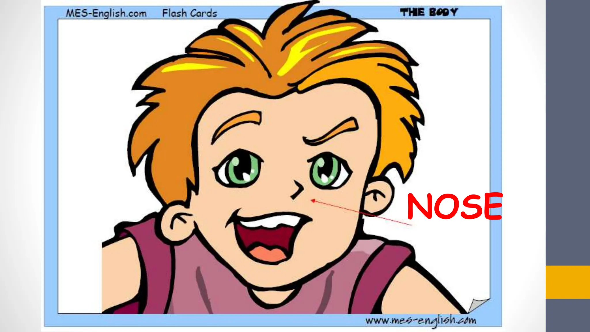 BODY PARTS of the human body powerpoint .pptx