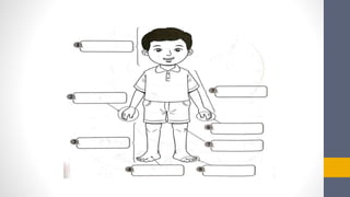 BODY PARTS of the human body powerpoint .pptx