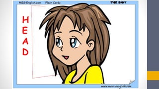 BODY PARTS of the human body powerpoint .pptx