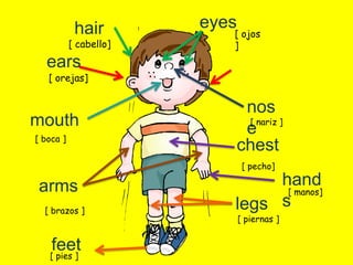 body_parts in english and spanish for adults and kids | PPTX