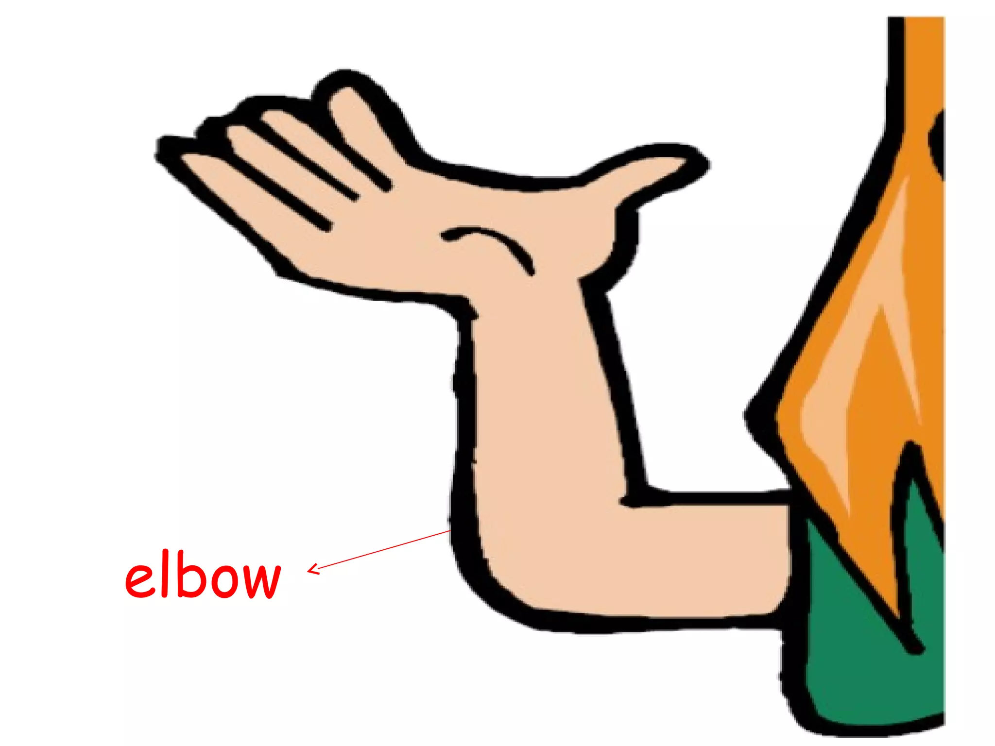 Body parts flashcards | PPT