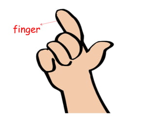 Body parts flashcards | PPT