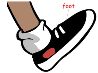 Body parts flashcards | PPT