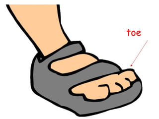 Body parts flashcards | PPT