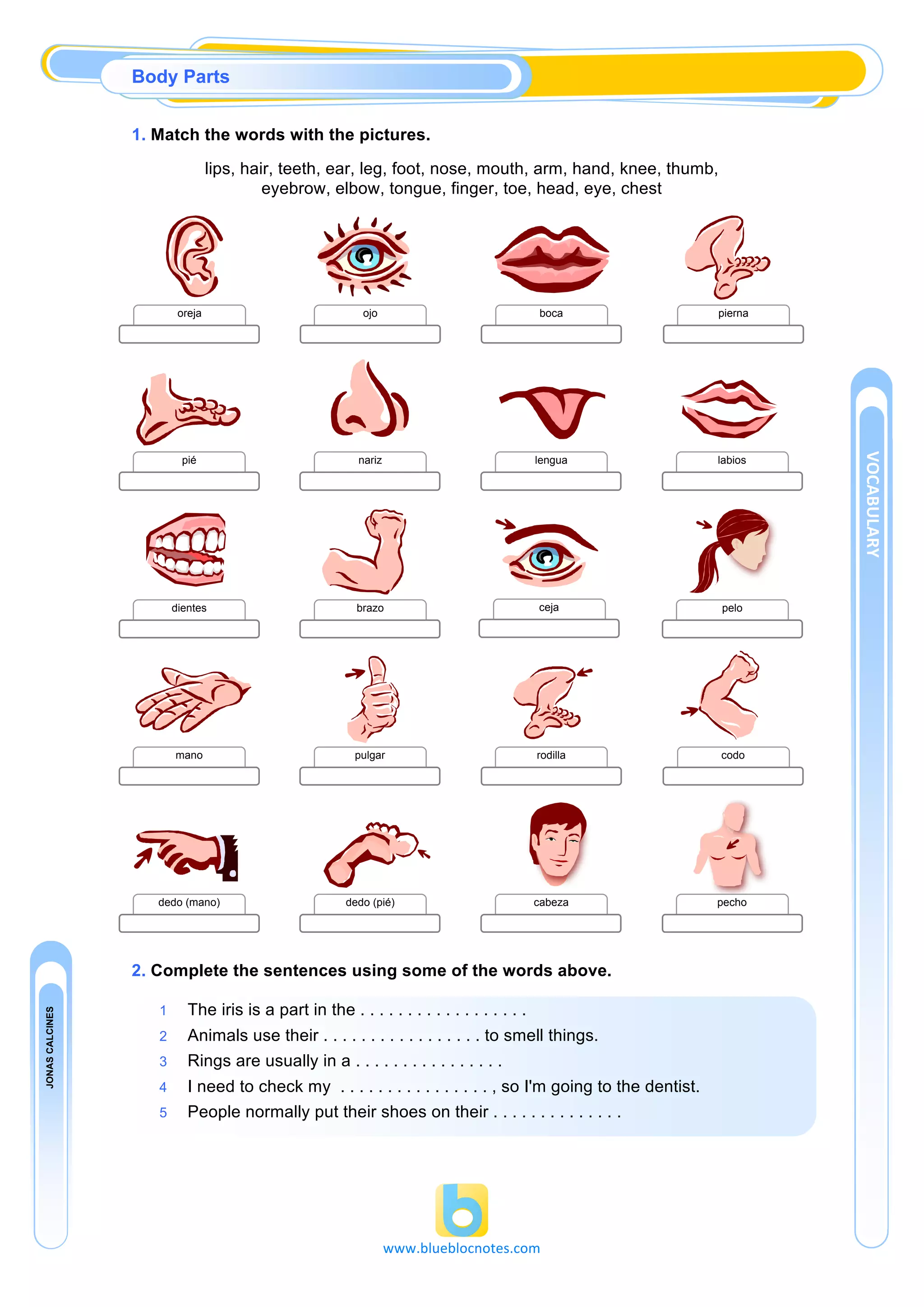 Body parts vocabulary worksheet | PDF