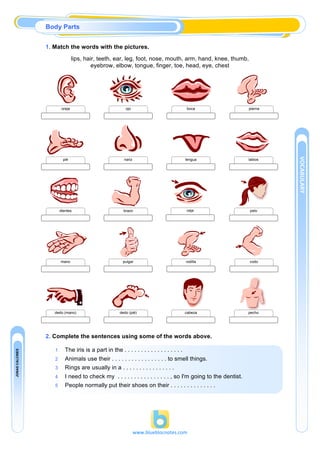 Body parts vocabulary worksheet | PDF