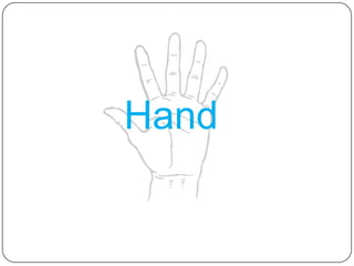 Body Parts Activity for Kids | PPTX
