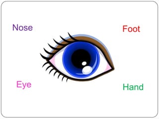 Body Parts Activity for Kids | PPTX