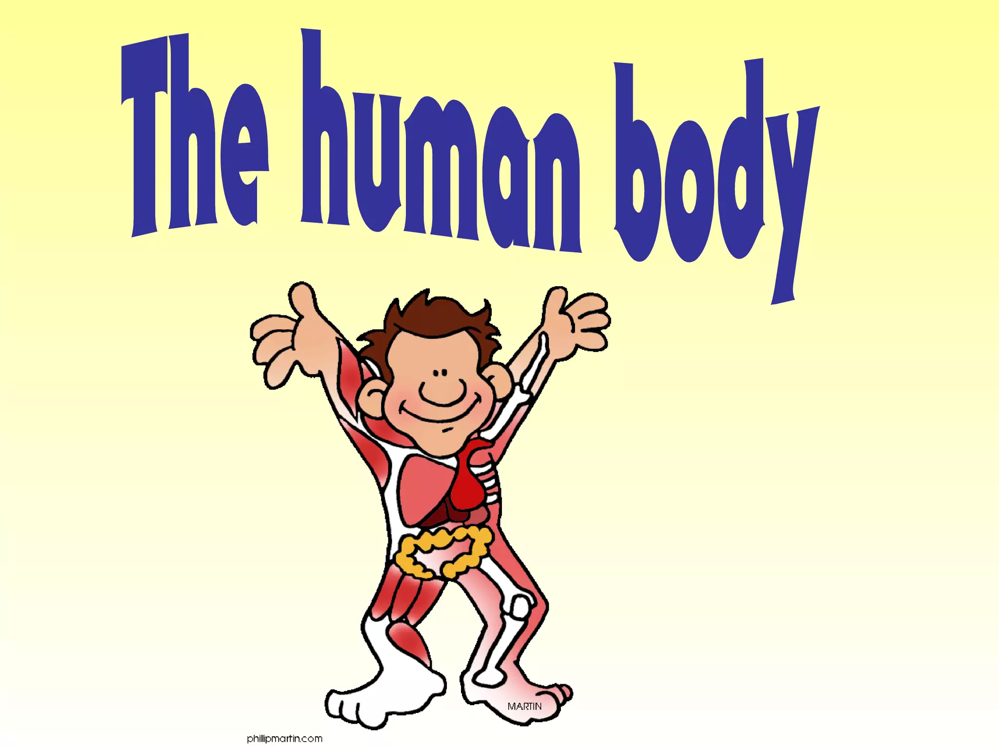 Body parts and face | PPT