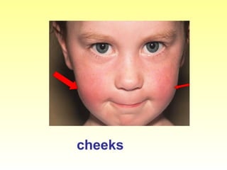 Body parts and face | PPT