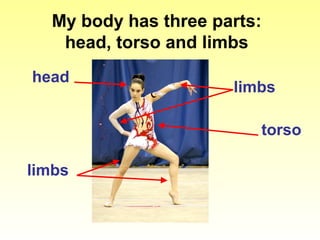 Body parts and face | PPT