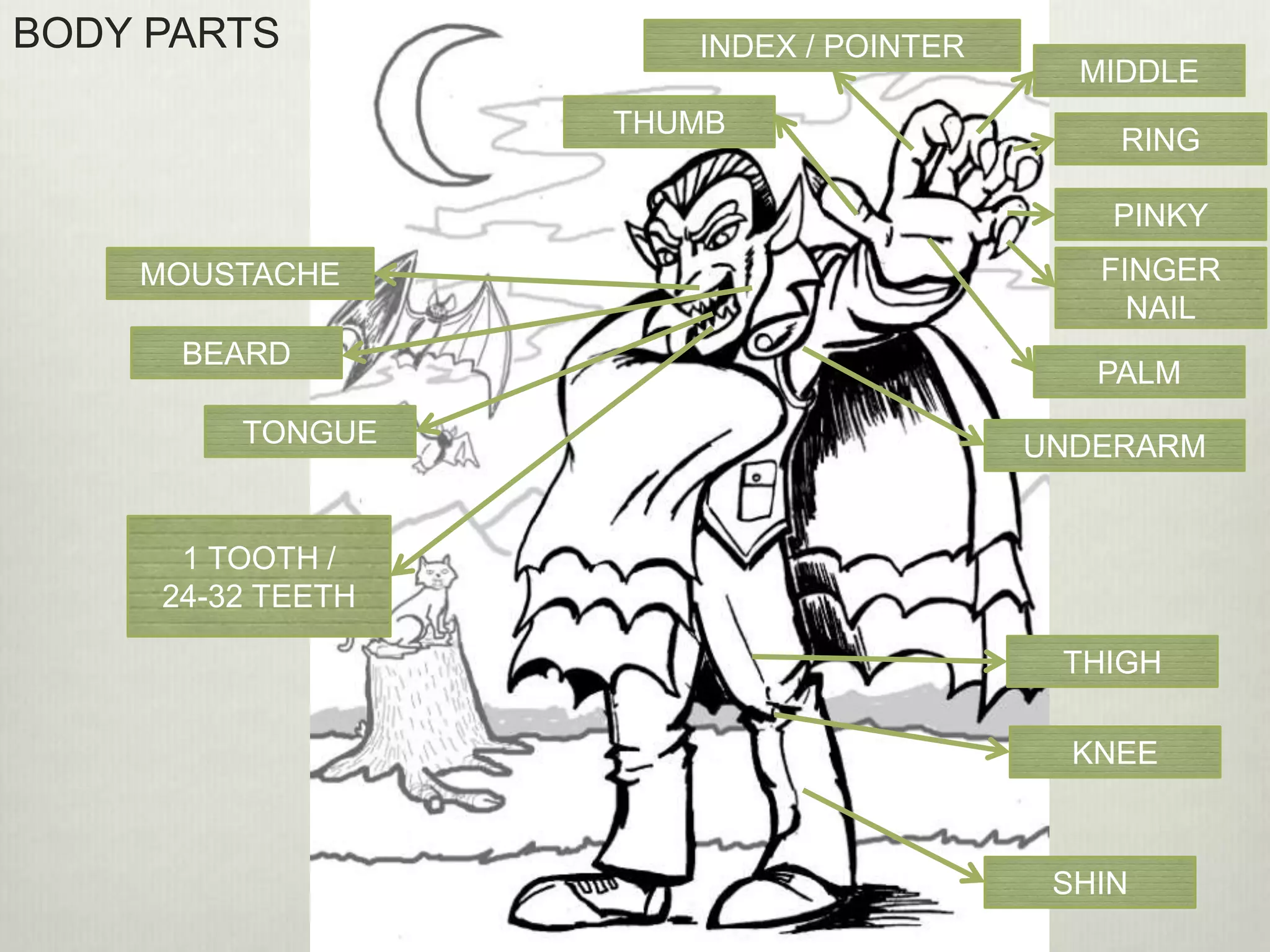 Body parts and joints | PPTX