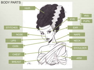 Body parts and joints | PPTX